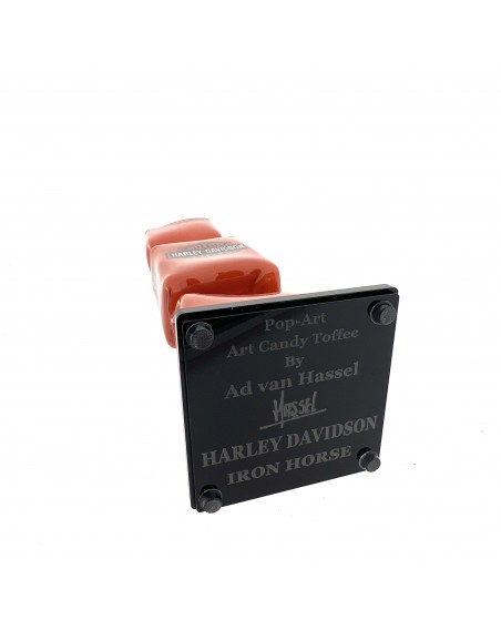 Ad van Hassel - Toffee - Harley Davidson
